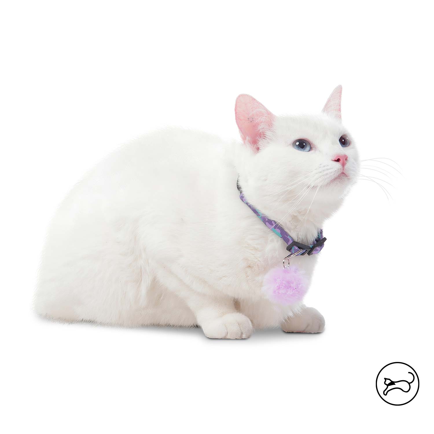 collar ajustable ajustable meow. compra en ec.totto.com - totto ecuador